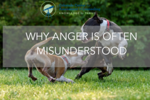 Why Anger is Often Misunderstood | Colorado Center for Assessment ...